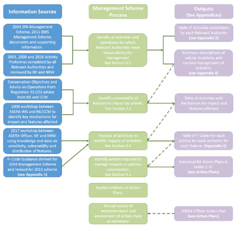 Management Scheme Process – ASERA